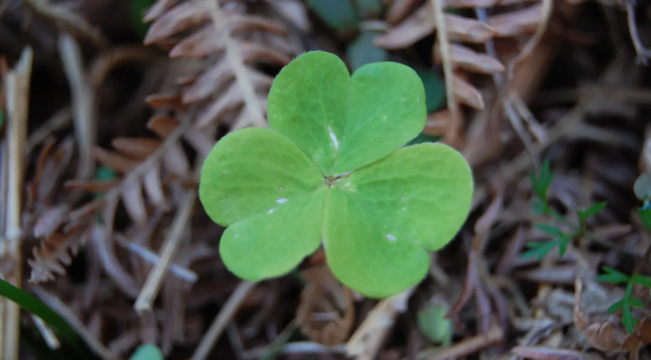 Traditions & Customs in Ireland | YourIrish.com